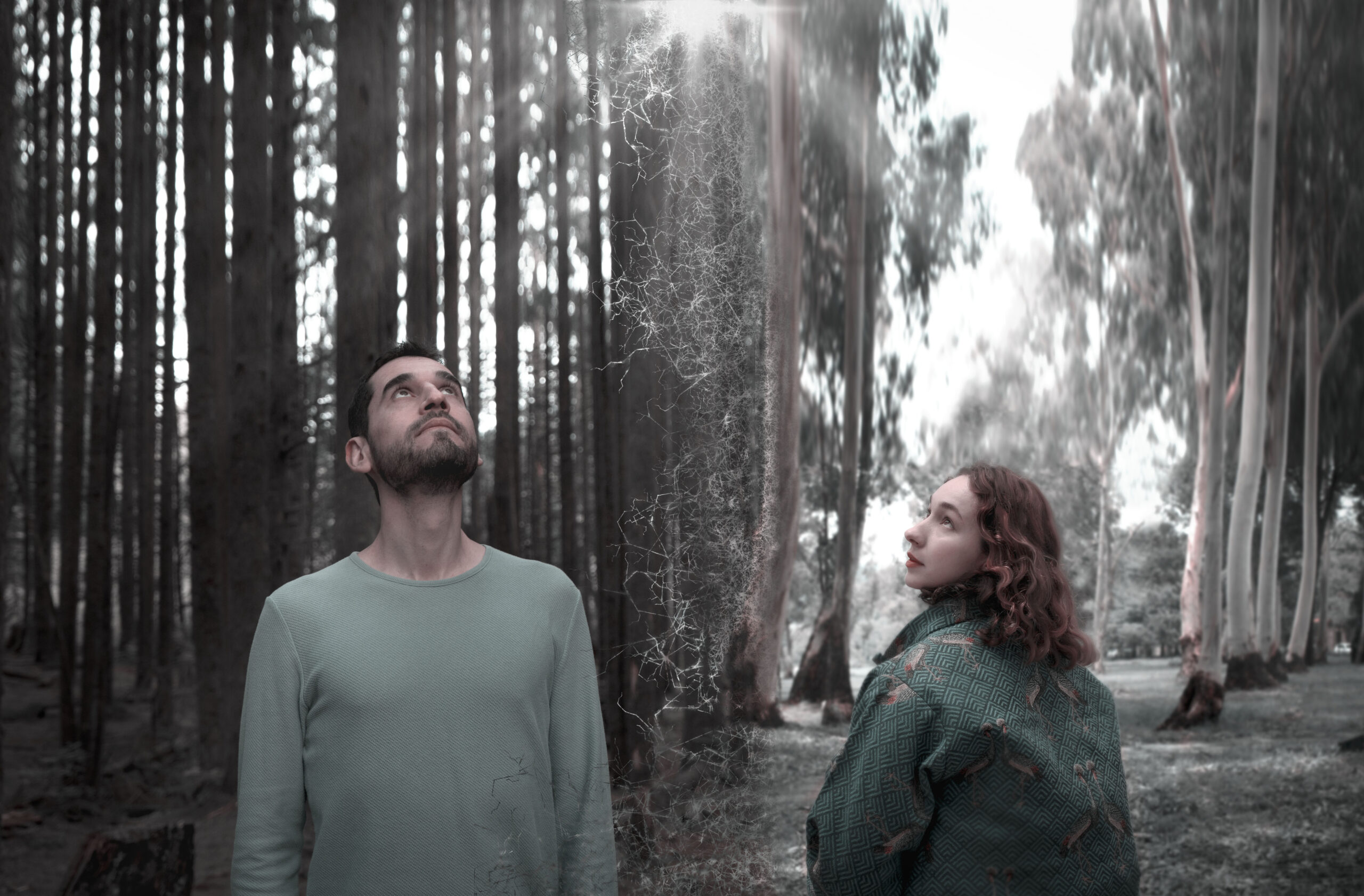 'Blue House' is a gorgeous and haunting release from global duo EIGHT ...